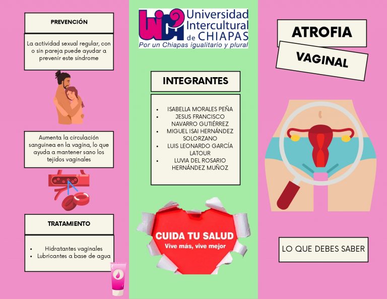 TRÍPTICOS ENFERMEDADES | UNICH